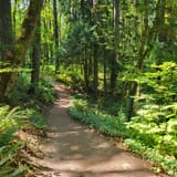 Tryon Creek Triple Bridge Loop, Oregon - 1,649 Reviews, Map | AllTrails