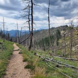 Greyrock Mountain via Greyrock and Greyrock Meadow Loop, Colorado ...
