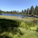 Jenks Lake Trail, California - 1,104 Reviews, Map | AllTrails