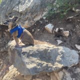 Sandia Cave Trail, New Mexico - 380 Reviews, Map | AllTrails