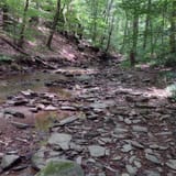 Trout Run Trail, Pennsylvania - 345 Reviews, Map | AllTrails