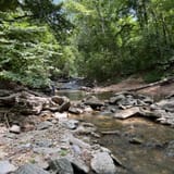 Tanyard Perimeter Loop, Arkansas - 3,128 Reviews, Map | AllTrails