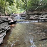 Tanyard Perimeter Loop, Arkansas - 3,093 Reviews, Map | AllTrails