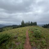 Shrine Ridge Trail, Colorado - 3,318 Reviews, Map | AllTrails