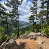 Mount Jackson Trail, New Hampshire - 2,164 Reviews, Map | AllTrails