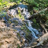 Mima Falls East Trail, Washington - 2,023 Reviews, Map | AllTrails
