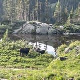 Blue Lake and Little Blue Lake via Mitchell Lake Trail, Colorado ...