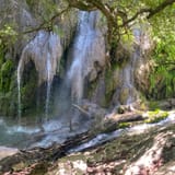 Gorman Falls Trail, Texas - 1,164 Reviews, Map | AllTrails