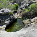 Gorman Falls Trail, Texas - 1,164 Reviews, Map | AllTrails