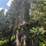 Nambe Lake Trail, New Mexico - 2,984 Reviews, Map | AllTrails