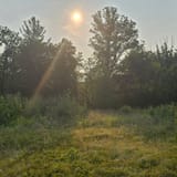 Luton Park Trail, Michigan - 1,158 Reviews, Map | AllTrails