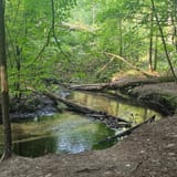 Luton Park Trail, Michigan - 1,155 Reviews, Map | AllTrails