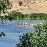 Link River Trail, Oregon - 559 Reviews, Map | AllTrails