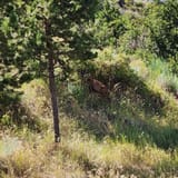 Link River Trail, Oregon - 559 Reviews, Map | AllTrails