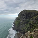 Mercer Bay Loop Track, Auckland, New Zealand - 752 Reviews, Map | AllTrails