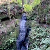 Chuckanut Falls, Washington - 626 Reviews, Map | AllTrails