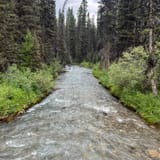 Karst Spring Trail, Alberta, Canada - 1,025 Reviews, Map | AllTrails