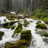 Karst Spring Trail, Alberta, Canada - 1,025 Reviews, Map | AllTrails