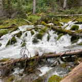 Karst Spring Trail, Alberta, Canada - 1,025 Reviews, Map | AllTrails