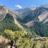 Lower Mill B North Fork Trail, Utah - 1,910 Reviews, Map | AllTrails