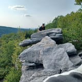 Wolf Rocks Trail, Pennsylvania - 1,437 Reviews, Map | AllTrails