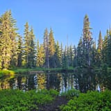 Tenas Lakes via Benson Lake Trail, Oregon - 328 Reviews, Map | AllTrails