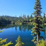 Tenas Lakes via Benson Lake Trail, Oregon - 328 Reviews, Map | AllTrails