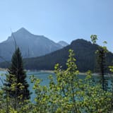 Barrier Lake Trail, Alberta, Canada - 1,089 Reviews, Map | AllTrails