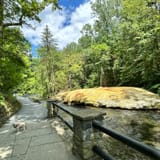 Geyser Loop Trail, New York - 2,326 Reviews, Map | AllTrails