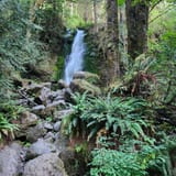 Merriman Falls, Washington - 141 Reviews, Map | AllTrails
