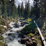Mitchell Lake Trail, Colorado - 603 Reviews, Map | AllTrails