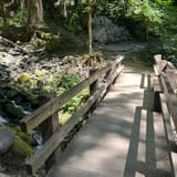 Sol Duc Falls Trail, Washington - 5,657 Reviews, Map | AllTrails