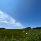 Barn Island Wildlife Management Area Trail, Connecticut - 715 Reviews ...