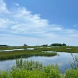 Barn Island Wildlife Management Area Trail, Connecticut - 715 Reviews ...