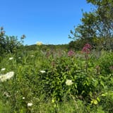 Barn Island Wildlife Management Area Trail, Connecticut - 715 Reviews ...