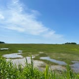 Barn Island Wildlife Management Area Trail, Connecticut - 711 Reviews ...