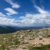 Alpine Ridge Trail, Colorado - 1,158 Reviews, Map | AllTrails