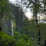Latourell Falls Loop, Oregon - 7,156 Reviews, Map | AllTrails