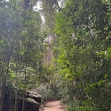 Mount Beerburrum Walking Track, Queensland, Australia - 677 Reviews ...