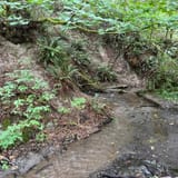 Dash Point Trail, Washington - 1,366 Reviews, Map | AllTrails