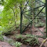 Dash Point Trail, Washington - 1,366 Reviews, Map | AllTrails