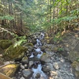 Upper Big Creek Loop, Washington - 3,059 Reviews, Map | AllTrails