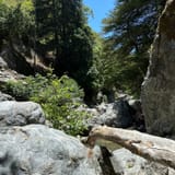 Big Sur River Gorge Trail, California - 652 Reviews, Map | AllTrails