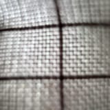 Canyon Vista Trail, Pennsylvania - 893 Reviews, Map | AllTrails