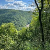 Canyon Vista Trail, Pennsylvania - 893 Reviews, Map | AllTrails