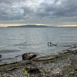 Marine View Park Loop Trail, Washington - 540 Reviews, Map | AllTrails