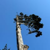 Stow Lake and Strawberry Hill Loop, California - 1,282 Reviews, Map ...