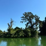 Stow Lake and Strawberry Hill Loop, California - 1,339 Reviews, Map ...