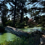 Stow Lake and Strawberry Hill Loop, California - 1,339 Reviews, Map ...