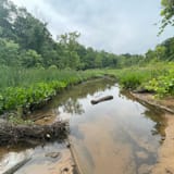 Fort Foote Civil War Ruins, Maryland - 180 Reviews, Map | AllTrails